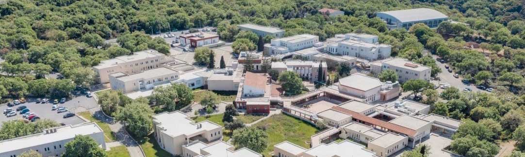 Department Of Economics Website